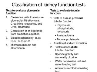 KIDNEY FUNCTION TEST | PPT