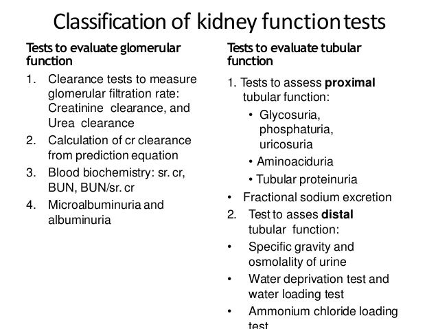 KIDNEY FUNCTION TEST