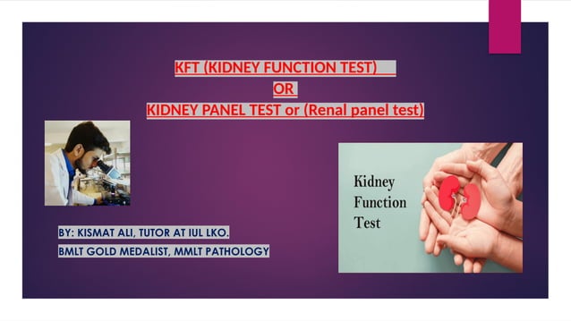 KFT (KIDNEY FUNCTION TEST) FUNCTIONS OF KIDNEY.pptx