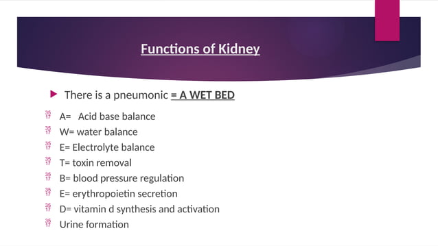 KFT (KIDNEY FUNCTION TEST) FUNCTIONS OF KIDNEY.pptx