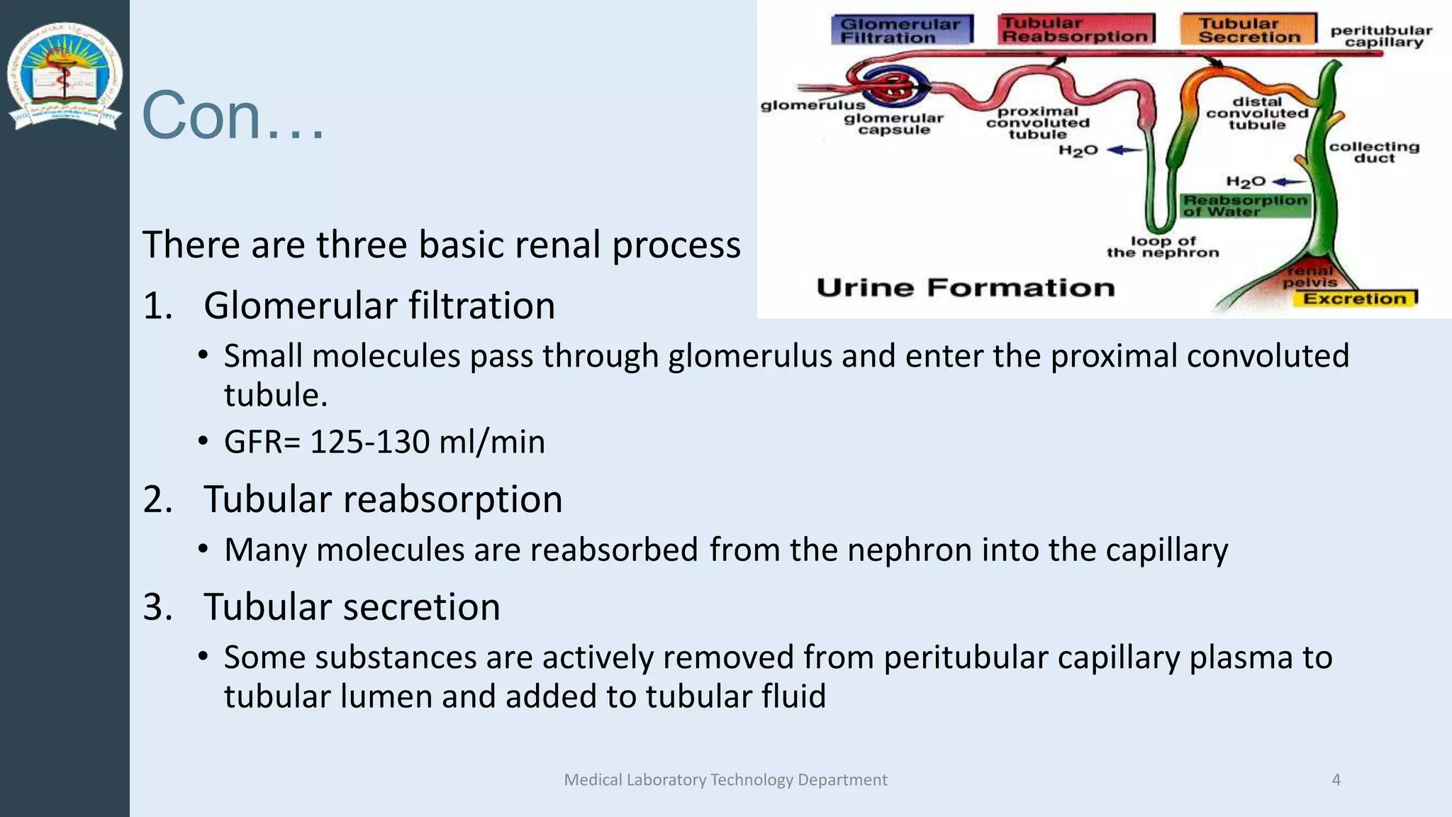 KFT or Kidney Function Test.pptx