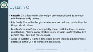 KFT or Kidney Function Test.pptx