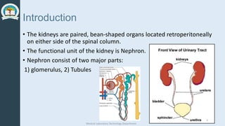 KFT or Kidney Function Test.pptx