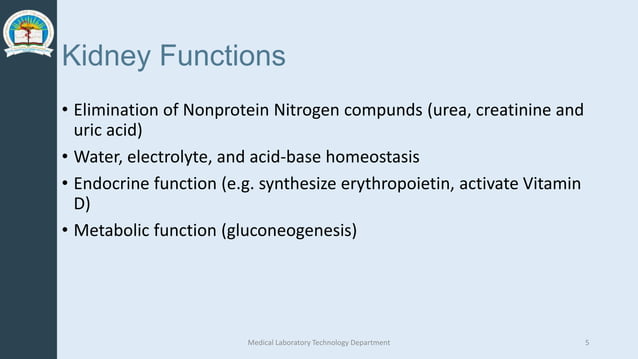 KFT or Kidney Function Test.pptx