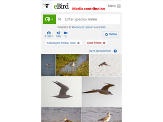 Kasaragod eBird Report 2020 | PPTX