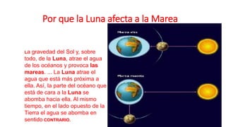 La luna y las mareas | PDF
