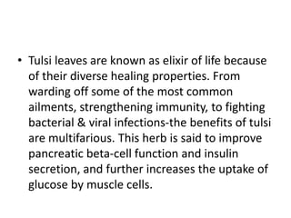 tulsi in diabetes | PPTX
