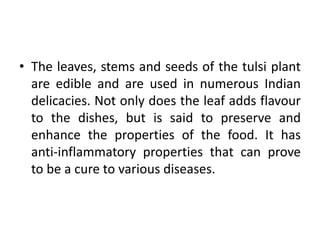 tulsi in diabetes | PPTX