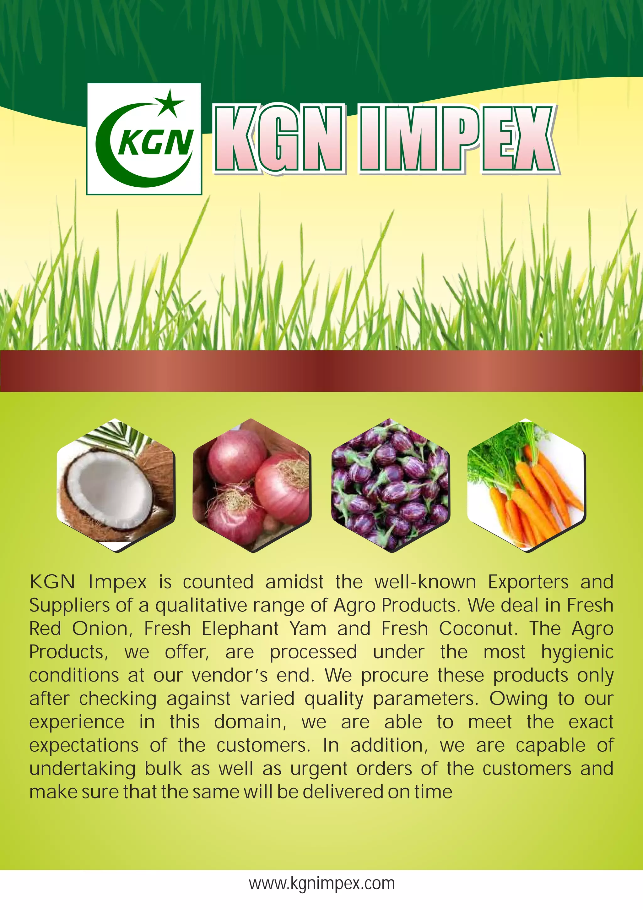 Kgn Impex Maharashtra India | PDF