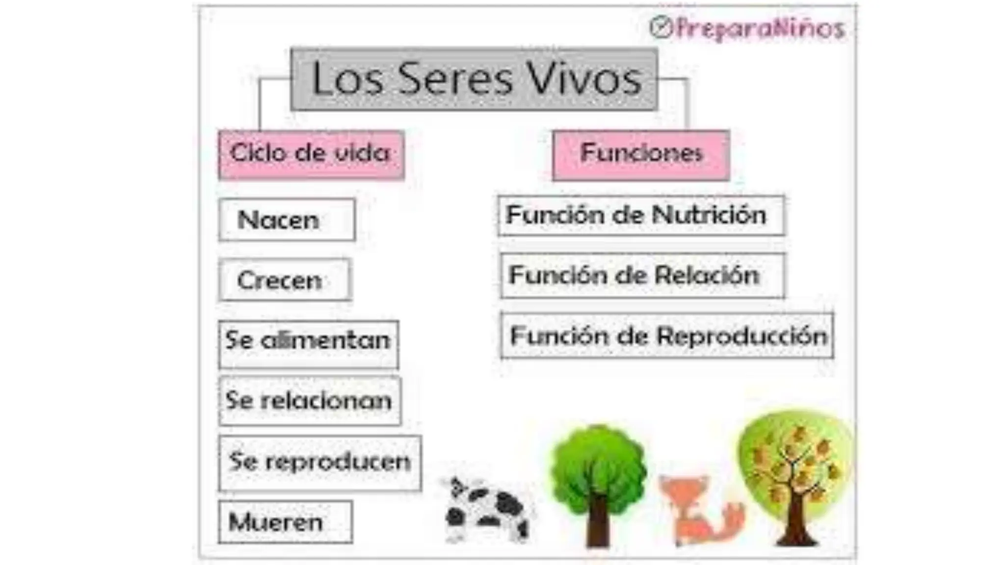 funciones _vitales_de_los_seres_vivos.pptx | Biological Sciences | Science