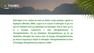 Kgoši_Sekhukhune[1].pptx