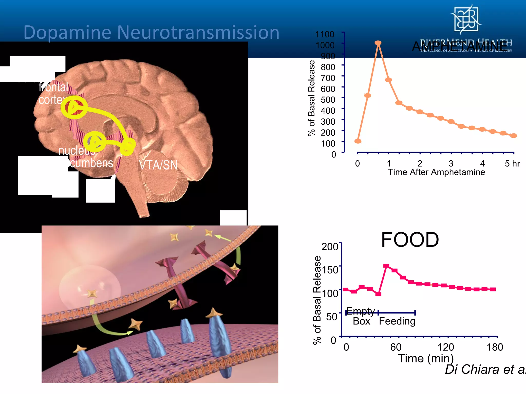 Addiction as a brain disease Brain Imaging in Addictions | PPT