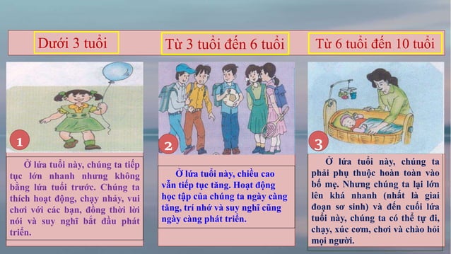 kh-tuan-3-cac-giai-doan-cua-cuoc-doi-1_4102021165422.pptx