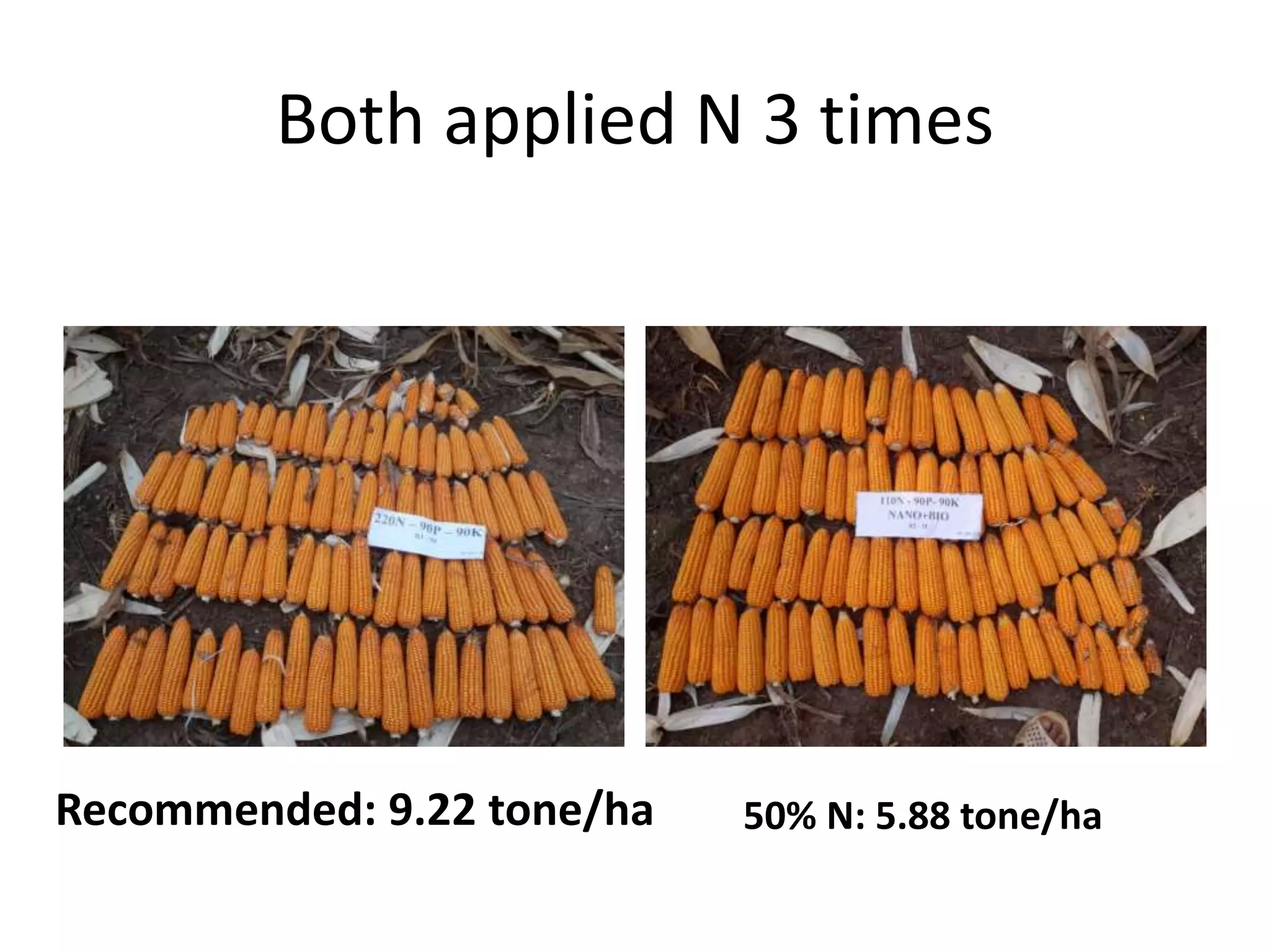 Efficiency of slow/controlled-release fertilizers | PPTX