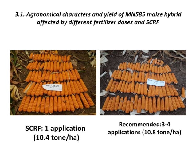 Efficiency of slow/controlled-release fertilizers | PPTX