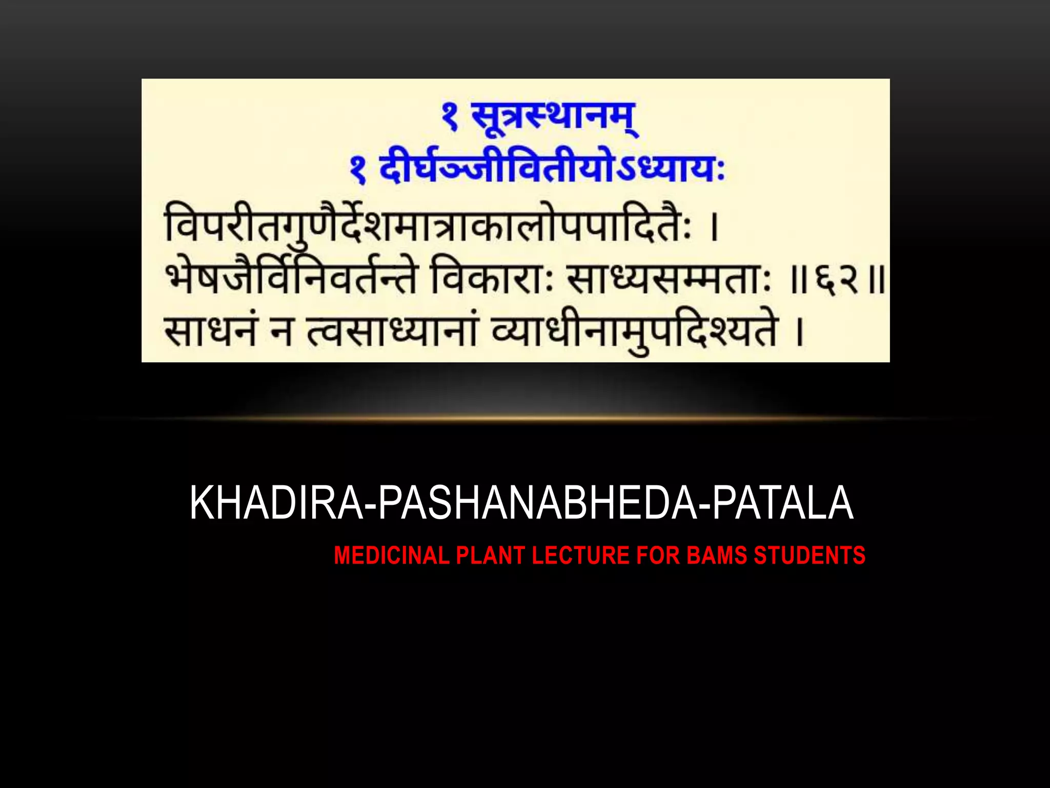 Khadira -Pashanabheda- Patala | PPTX