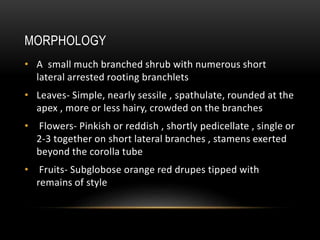 Khadira -Pashanabheda- Patala | PPTX