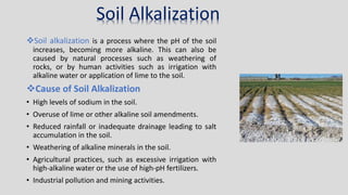 Presentation Soil Solidification | PPT