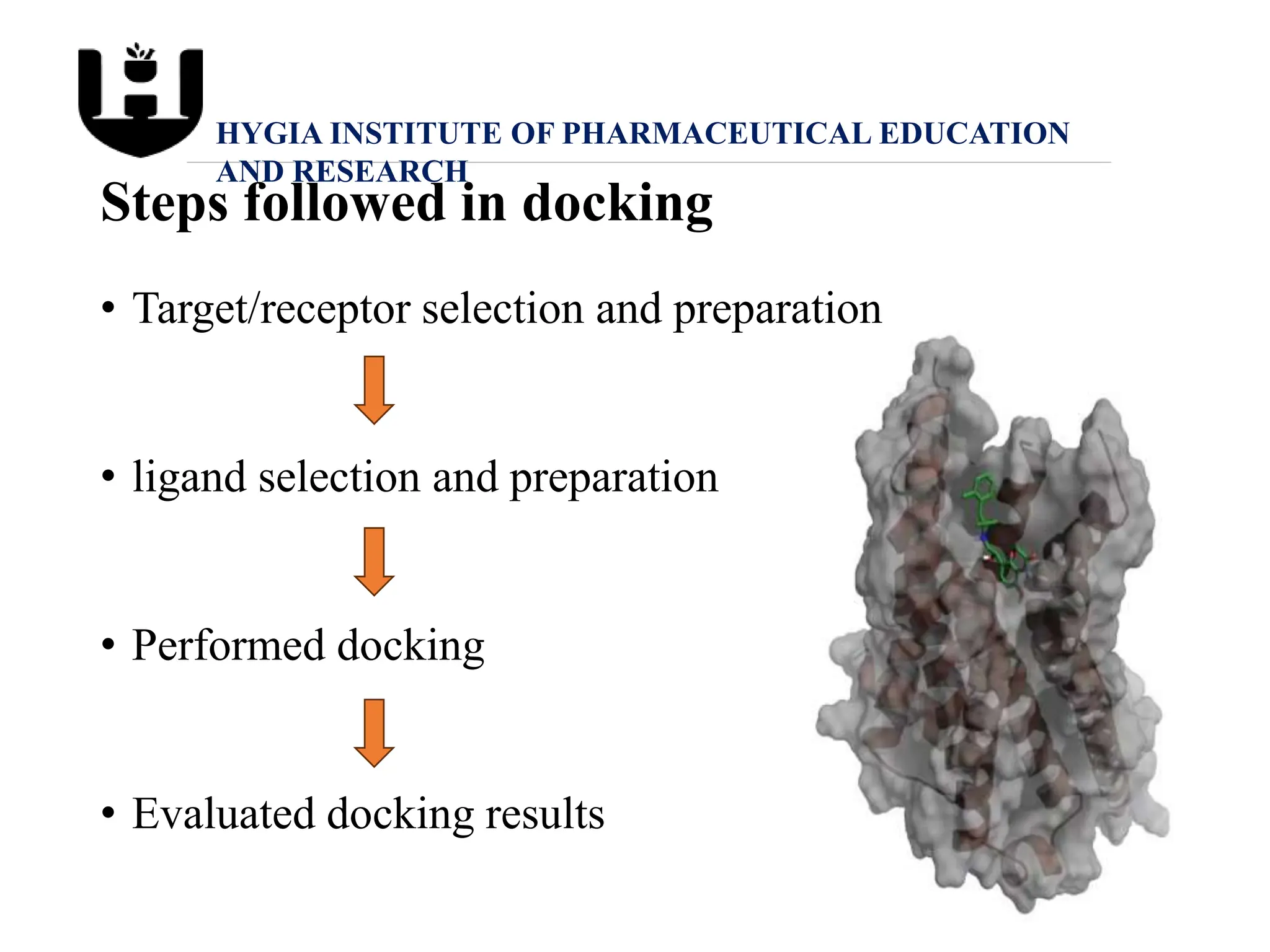 Elaboration of steps followed in Docking and Docking based virtual ...