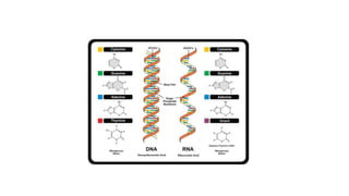 DNA STORAGE | PPTX