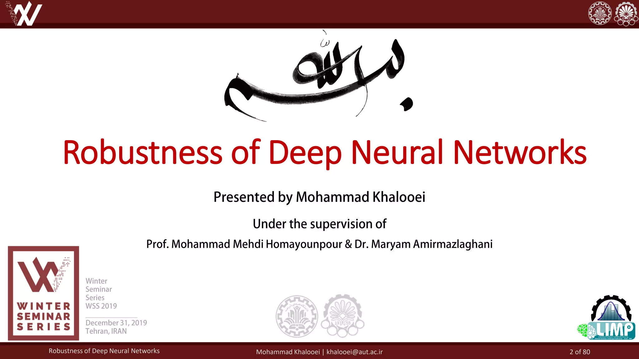 Robustness of Deep Neural Networks | PDF
