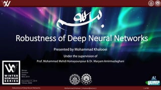 Robustness of Deep Neural Networks | PPT