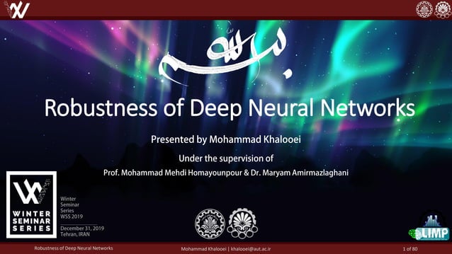 Robustness of Deep Neural Networks | PPT