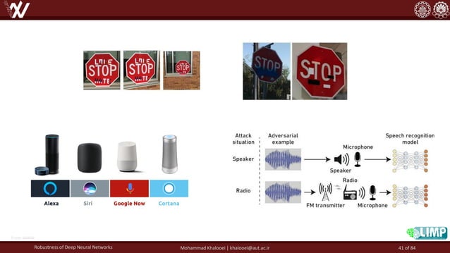 Robustness Of Deep Neural Networks Ppt