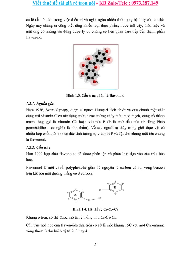 Khóa Luận Nghiên Cứu Khai Thác Flavonoid Từ Vỏ Hạt Đậu Xanh.doc