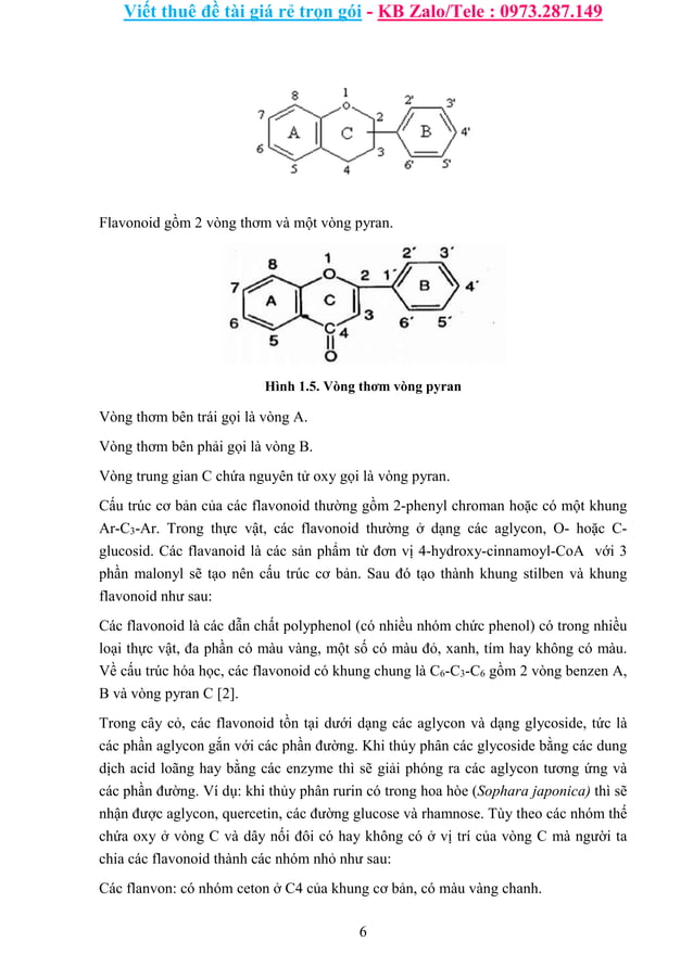 Khóa Luận Nghiên Cứu Khai Thác Flavonoid Từ Vỏ Hạt Đậu Xanh.doc