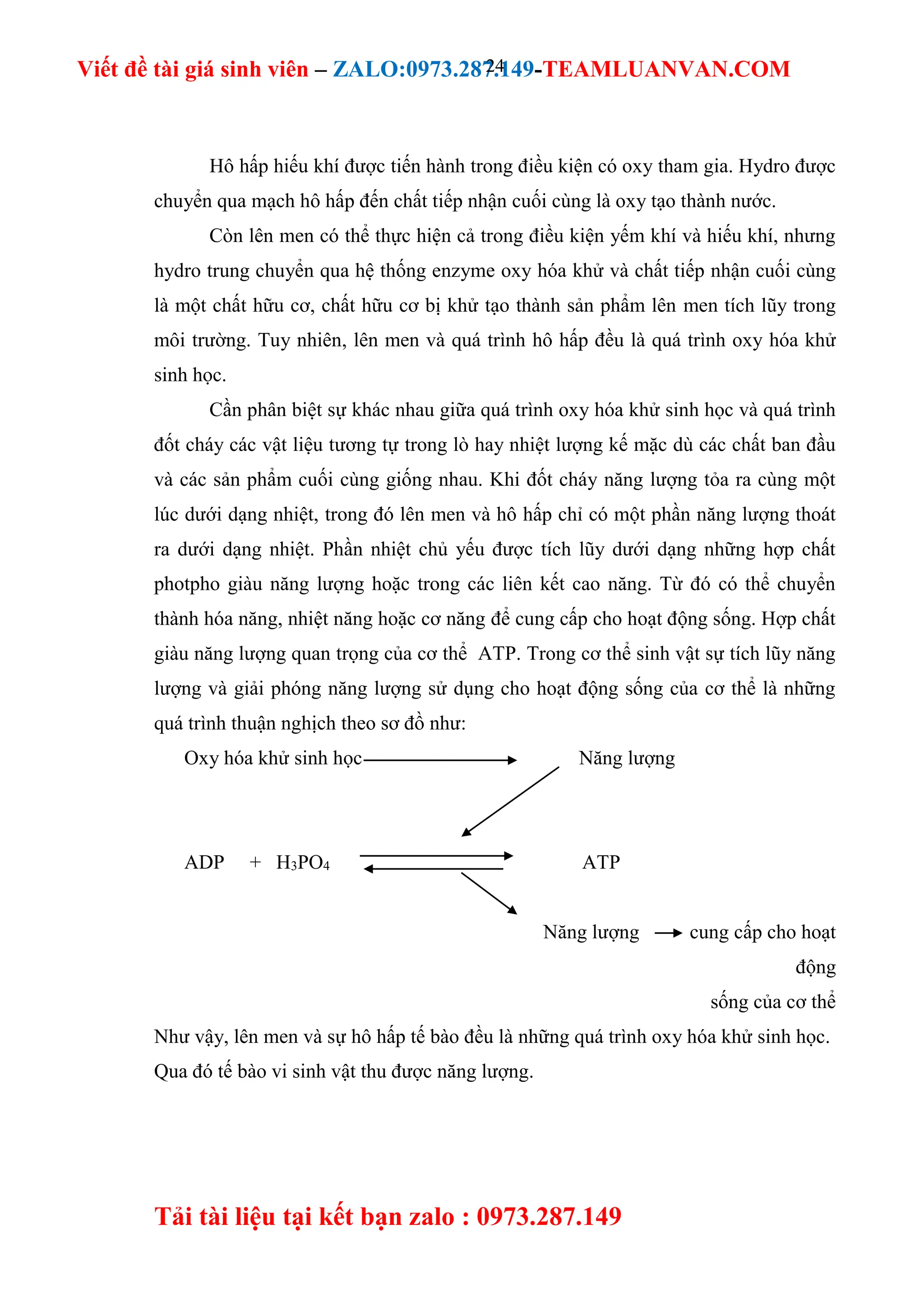 khóa luận tốt nghiệp nghieân cứu đề xuất quy trình sản xuất sữa chua xoài.doc