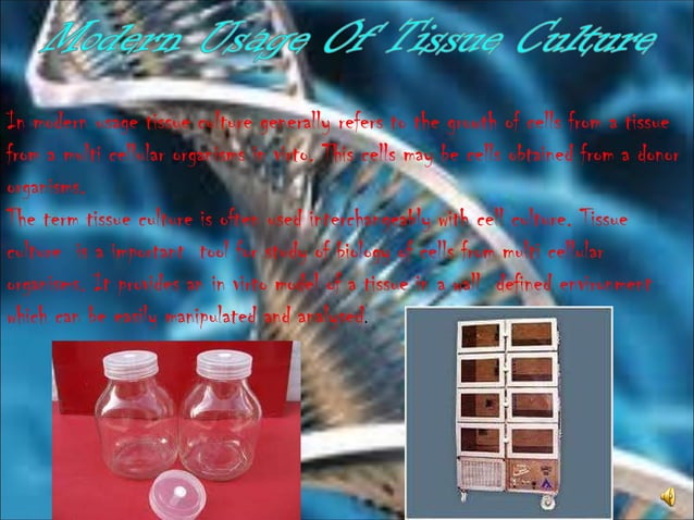tissue culture hybridization | PPT