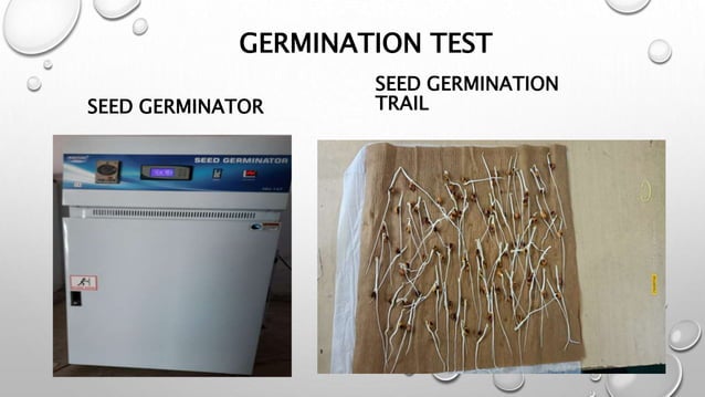 Seed testing | PPT
