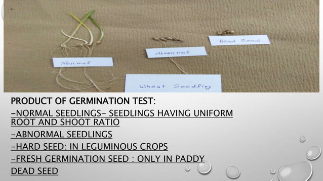 Seed testing | PPT