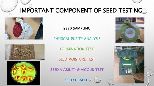 Seed testing | PPT