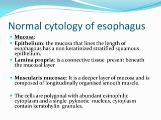 Cytology of esophagus and stomach | PDF