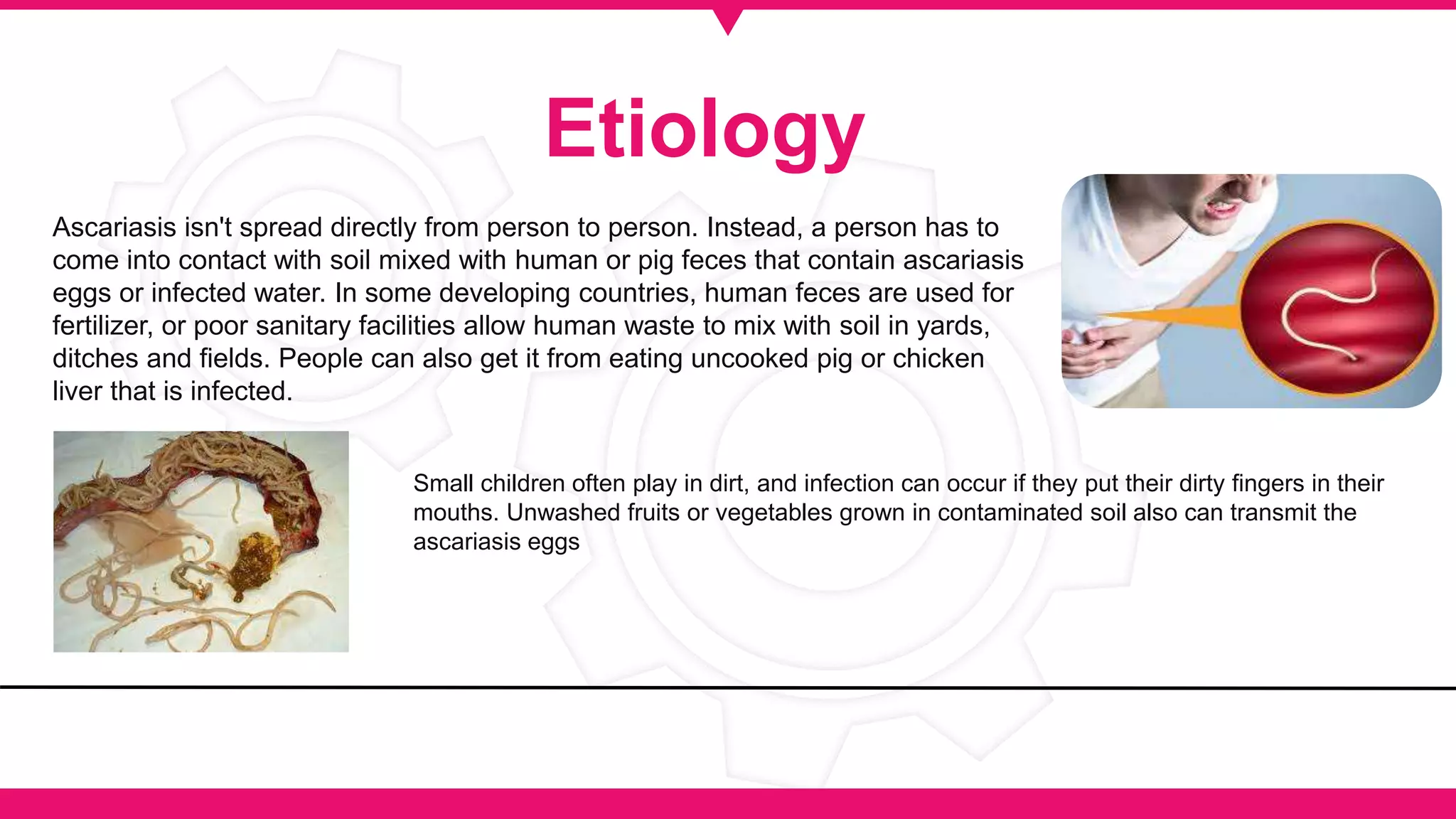Ascariasis PPT | PPTX