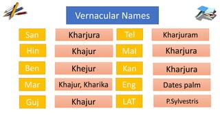 Kharjura | PPTX