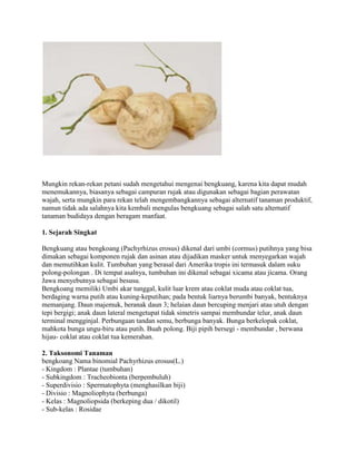 Khasiat buah bengkoang | DOCX