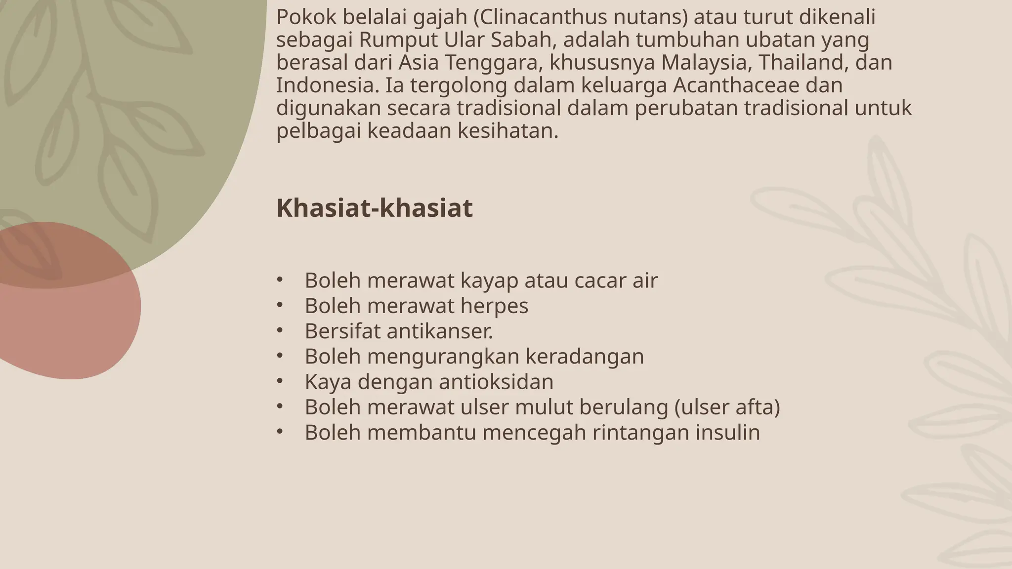 5 Herba yang Kaya dengan Khasiat untuk Kesihatan | PPTX