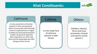 Khat chewing affection on health and community | PDF