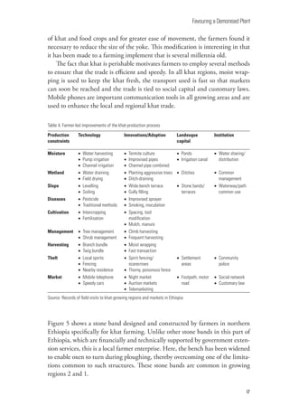 Khat and Ethioian smallholder enterprise.pdf