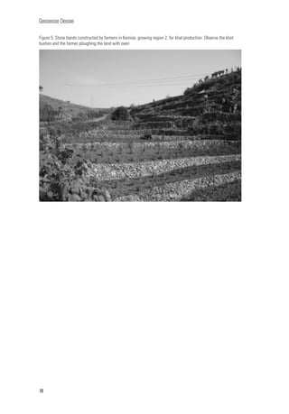 Khat and Ethioian smallholder enterprise.pdf