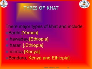 Khat presentation effects in health,socioeconomic,originality,types | PPT