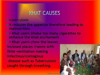 Khat presentation effects in health,socioeconomic,originality,types | PPT
