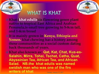 Khat presentation effects in health,socioeconomic,originality,types | PPTX