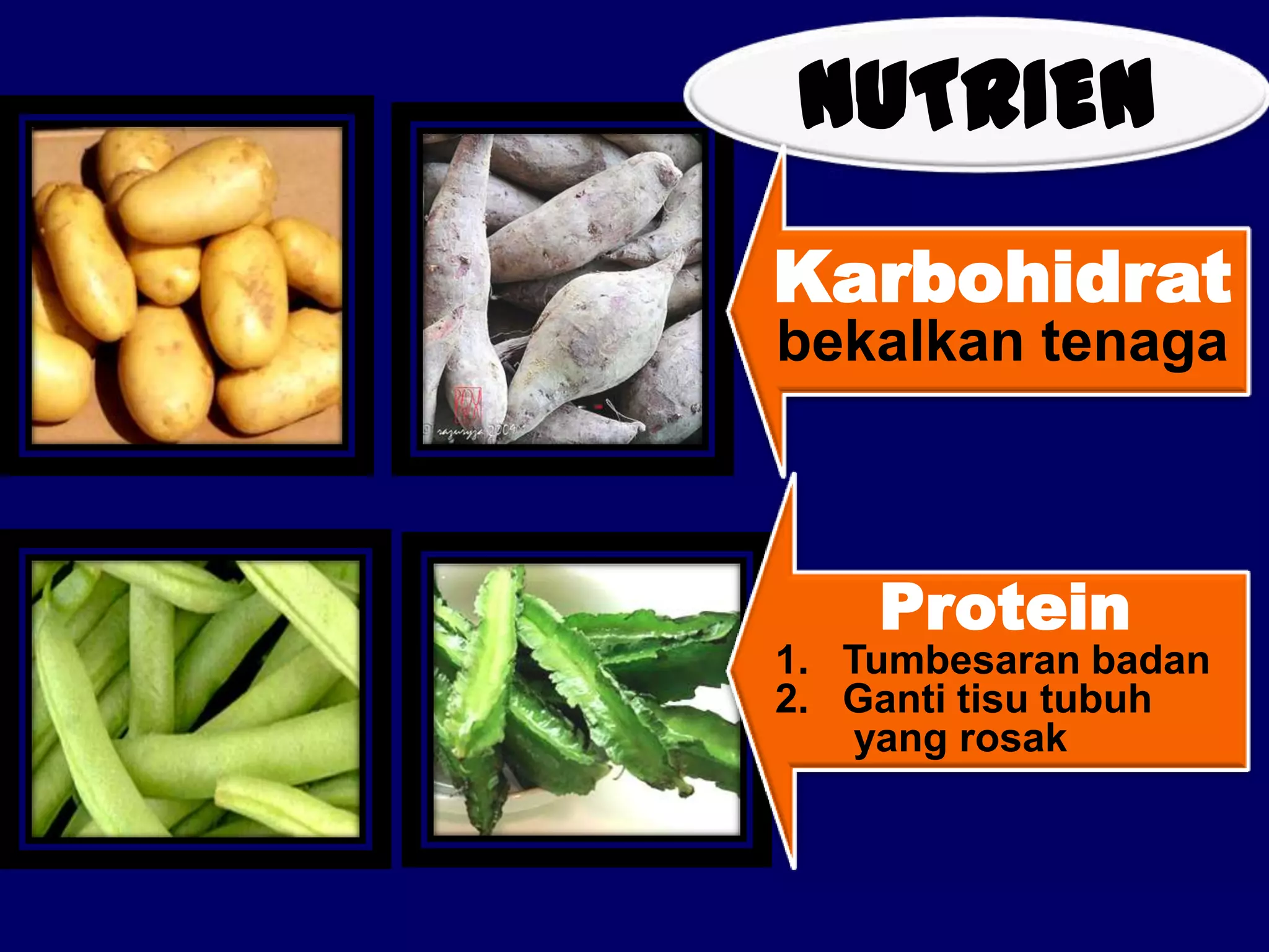 KHB Ting 1 Jenis Sayur dan Nutrien | PPTX