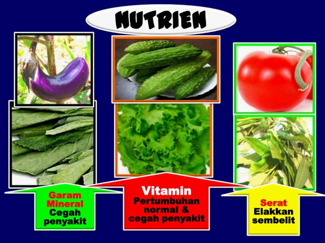 KHB Ting 1 Jenis Sayur dan Nutrien | PPT