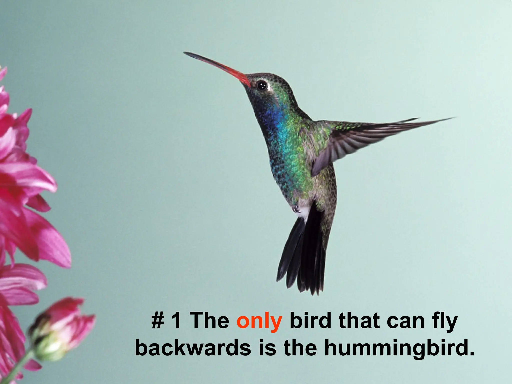 Khemkaran's PPT.pptx zhhshshsjsjskssnbsbsgshsh | PPT