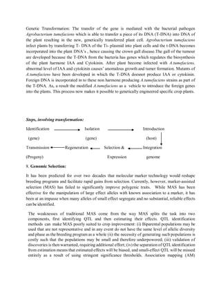 Advance Plant Breeding Techniques | PDF